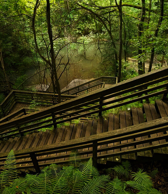 dreamy park florida wonders ftr