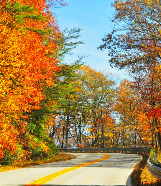 dreamy road trips georgia ftr