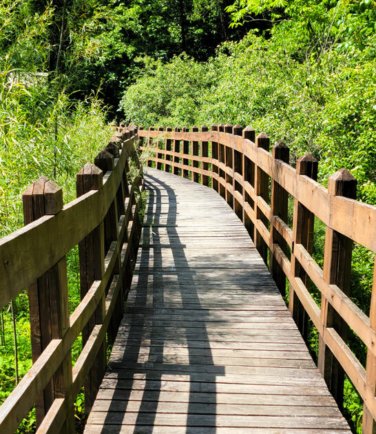 dreamy state park missouri ftr