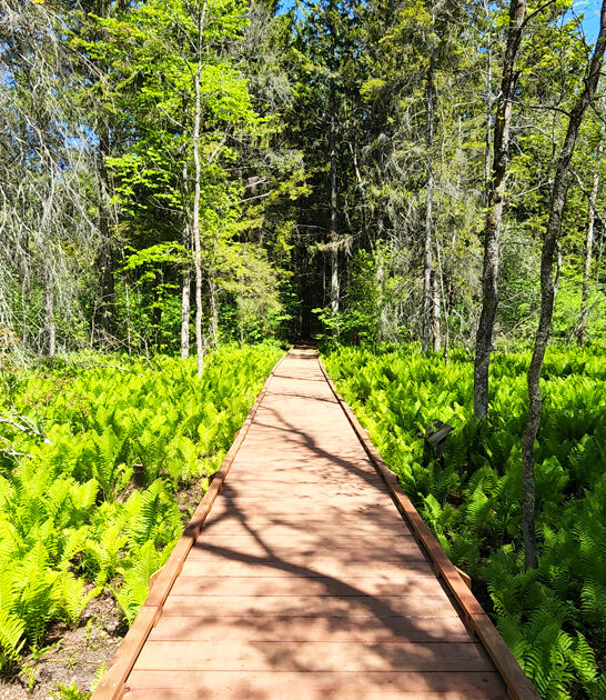 dreamy wisconsin state park ftr