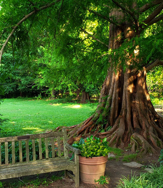 drive maryland scenic garden ftr