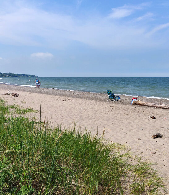drive ohio lake beach ftr