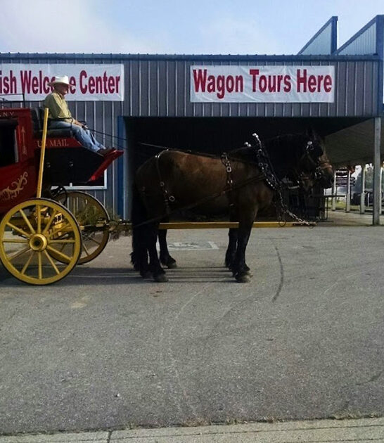 drive tennessee homemade amish ftr