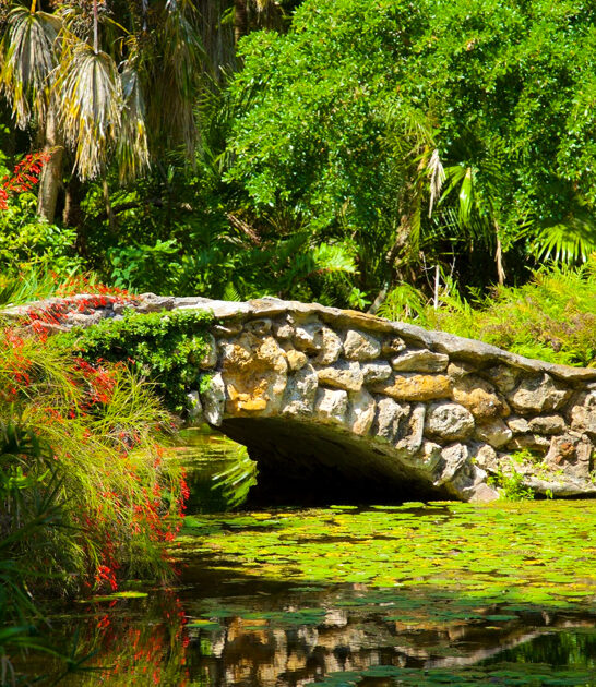 enchanting garden florida postcard ftr