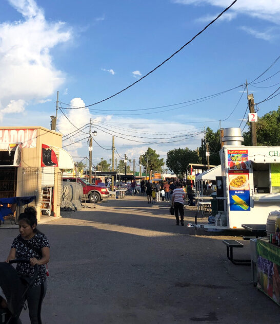 enormous flea arizona fills ftr