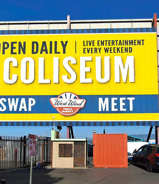 enormous flea california locals ftr