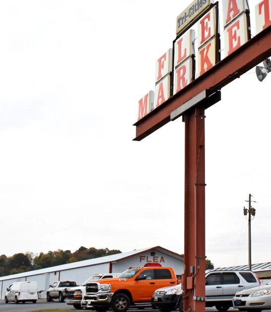 enormous flea finds tennessee ftr