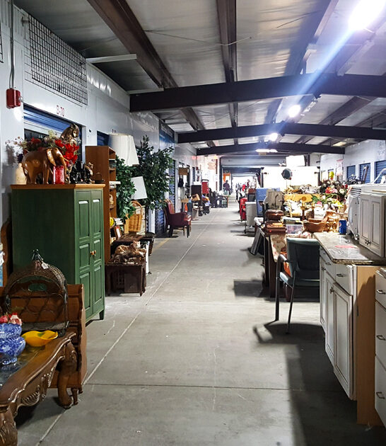 enormous flea florida make ftr