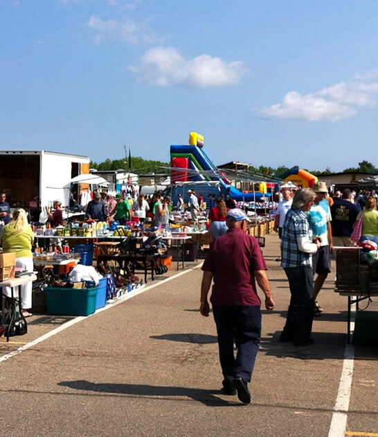 enormous flea ohio dream ftr