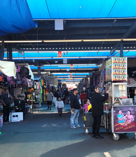 enormous flea treasures arizona ftr