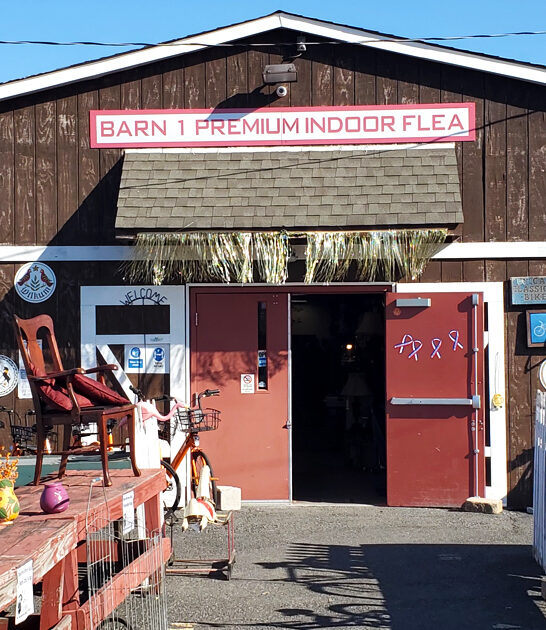 enormous flea treasures pennsylvania ftr