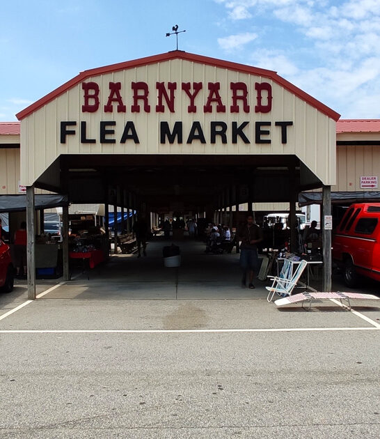 enormous south carolina day ftr