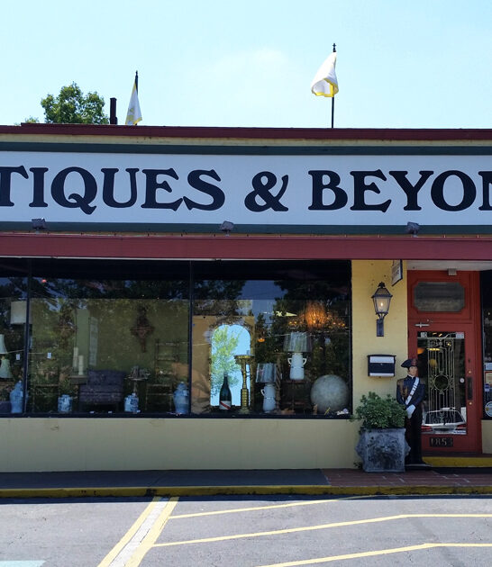 enormous store georgia antique ftr