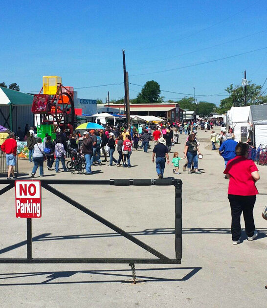 enormous texas flea havens ftr