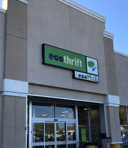 enormous thrift california cart ftr