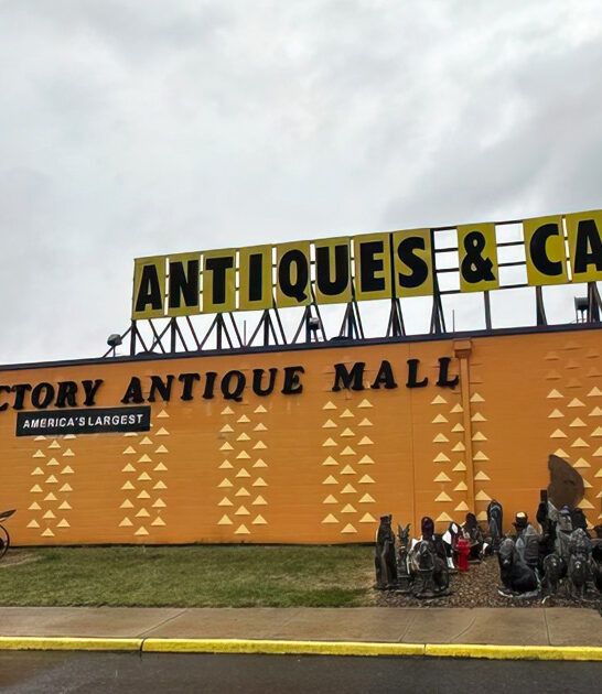 enormous thrift deals virginia ftr