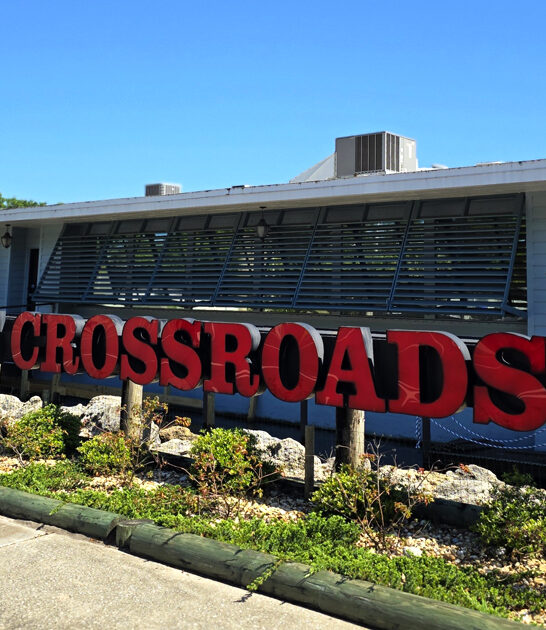 entrancing fettuccine alfredo florida ftr