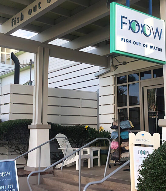 entrancing filet medallions florida ftr