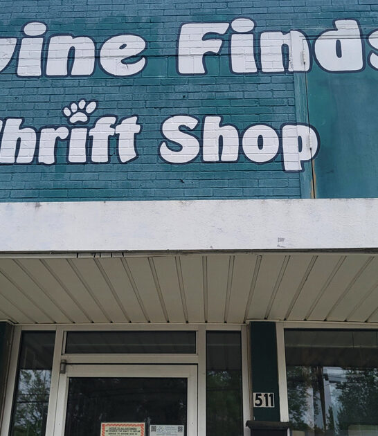 expansive shops north carolina ftr