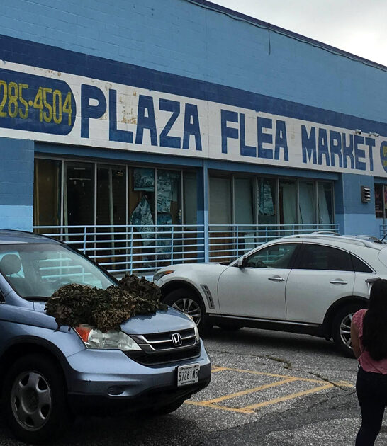 explore maryland flea markets ftr