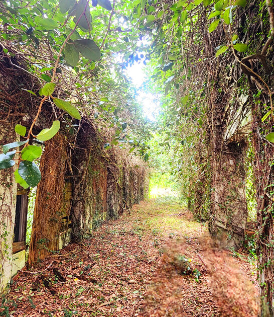 exploring florida ghost town ftr