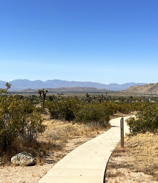 exquisite desert park california ftr