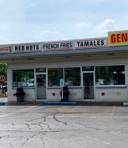 famous chicago dogs illinois ftr