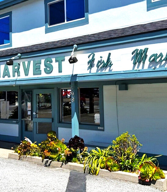 famous fish market california ftr