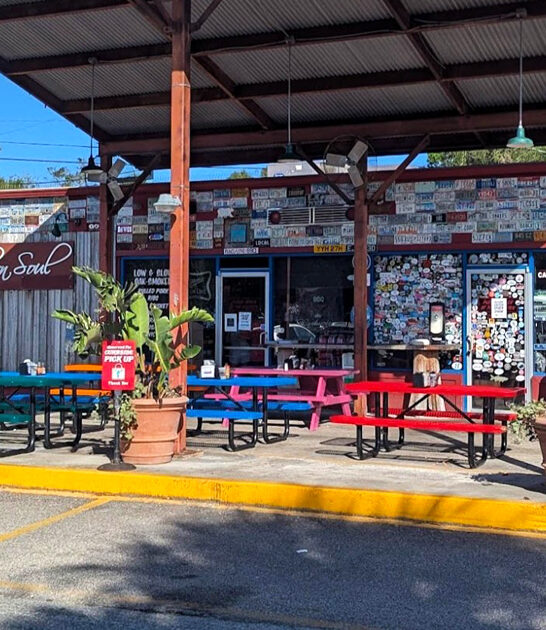 famous french fries georgia ftr