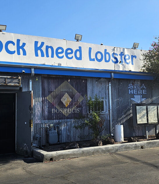 famous restaurant arizona seafood ftr