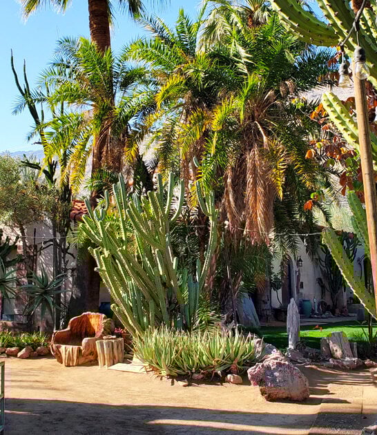 fascinating desert garden california ftr