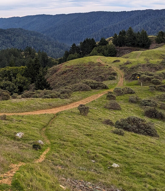 fascinating park california amazing ftr