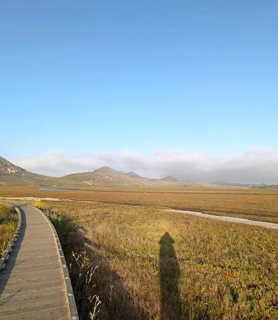 fascinating park california heard ftr