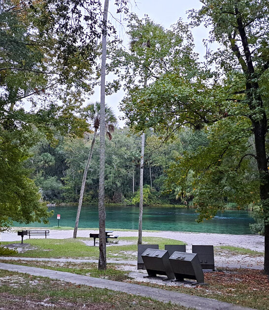 fascinating spring florida ftr