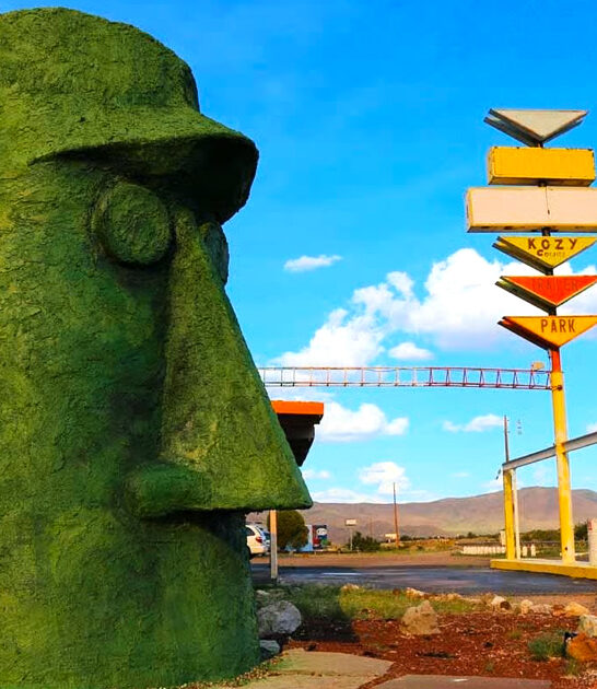 fascinating tiki head arizona ftr