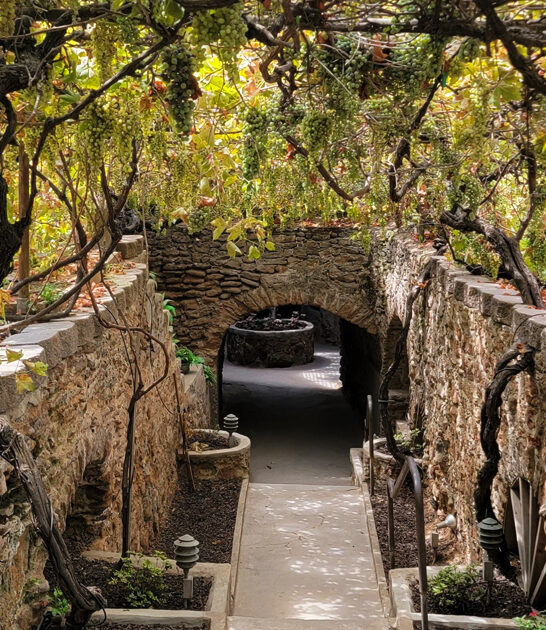 fascinating underground garden california ftr