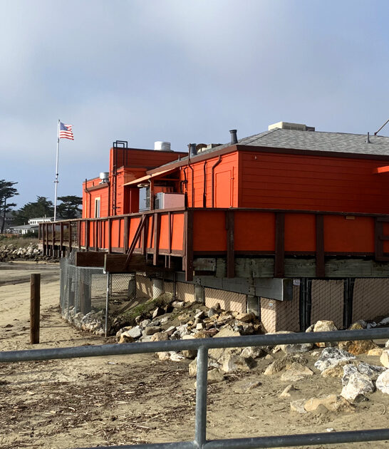 fish california best chips ftr