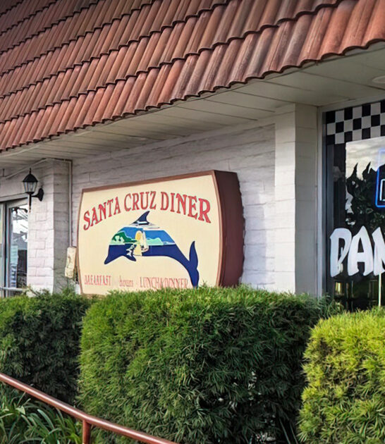 fish chips diner california ftr