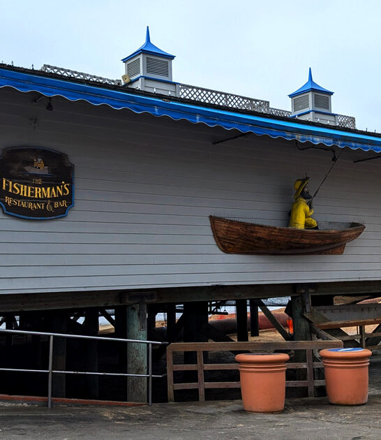 fish delicious california chips ftr