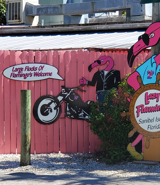 fish taco florida restaurant ftr