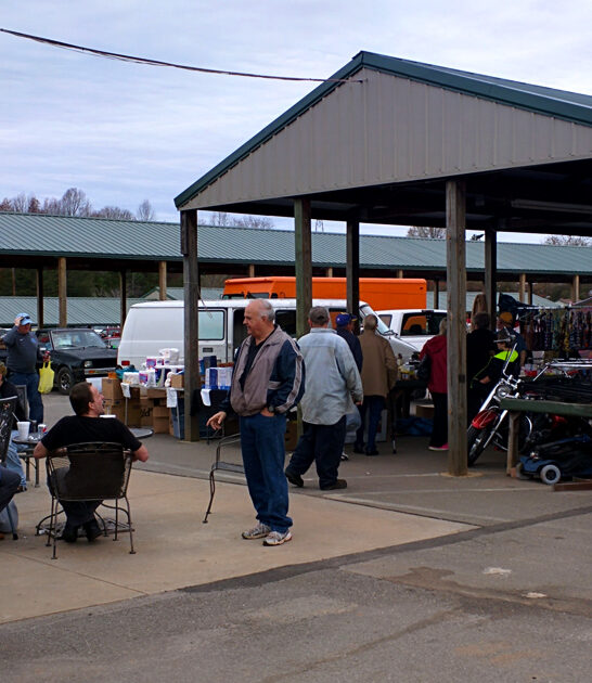 flea fair north carolina ftr