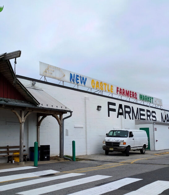 flea market delaware deals ftr