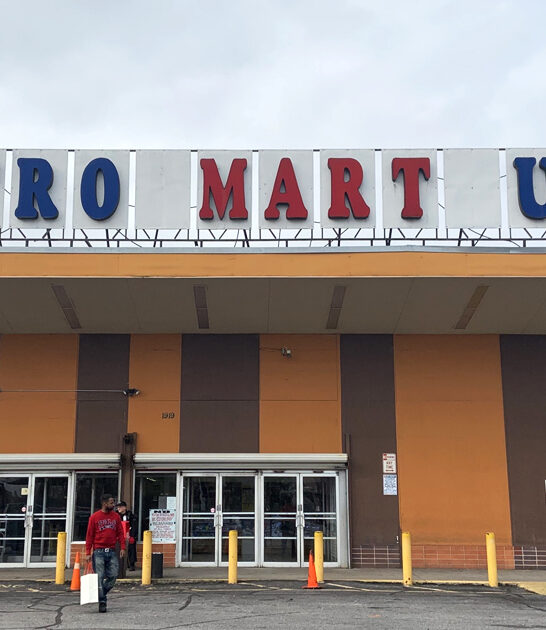 flea market georgia gems ftr