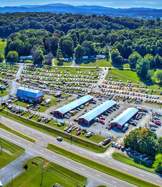 flea market treasures tennessee FTR