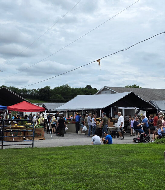 flea market wonders ohio ftr