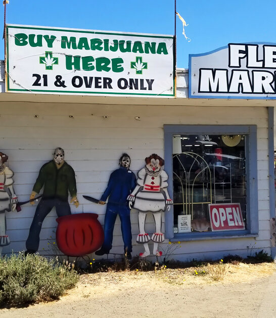 flea markets oregon trip ftr