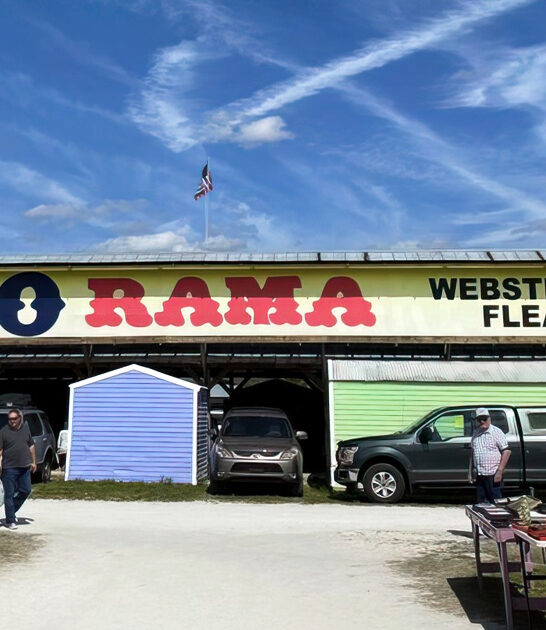 flea massive market florida ftr