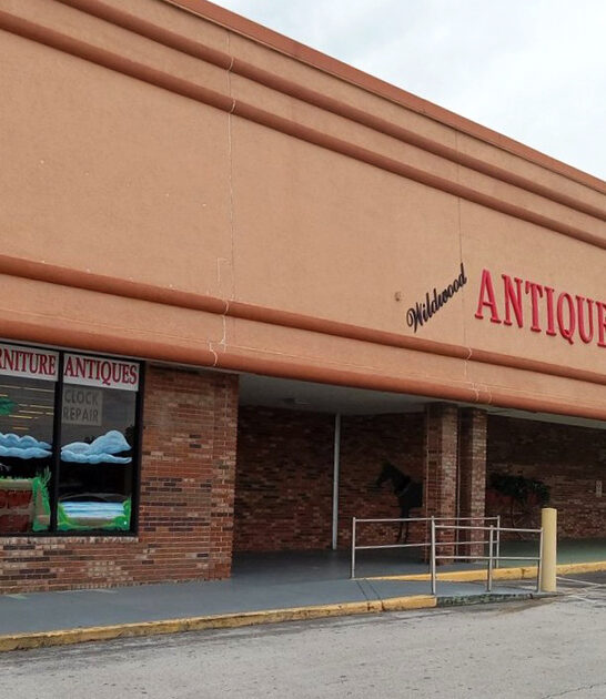 florida antique store shopping ftr