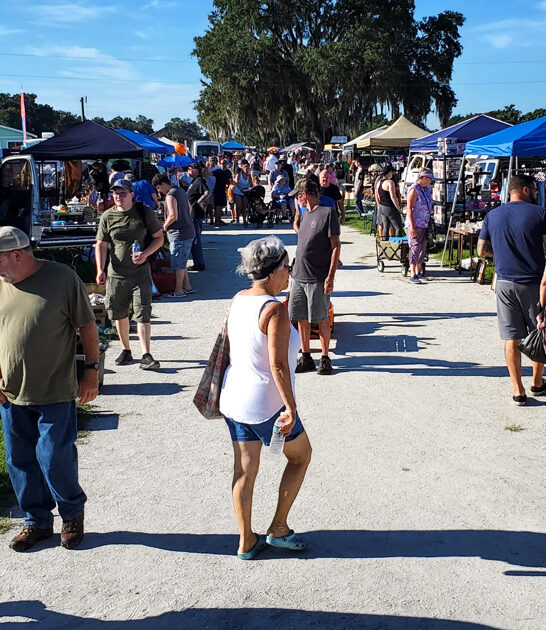 florida bag full finds ftr