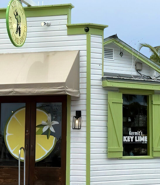 florida choco key lime ftr